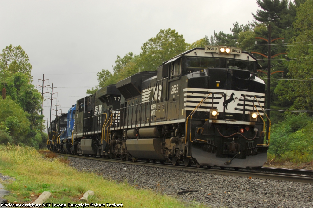 NS 2683 leading a string of asst catfish